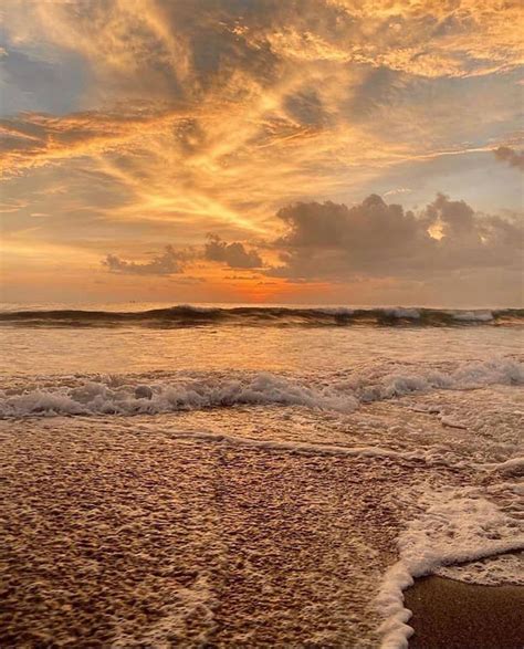 200 Elegant Pfp Ideas Gold Aesthetic Beige Aesthetic Classy Aesthetic