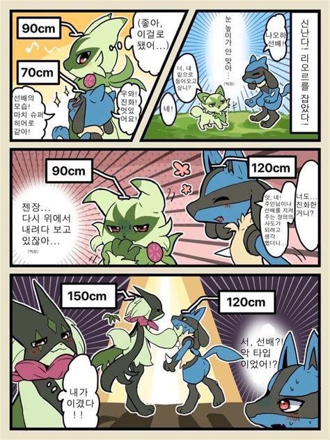포켓몬 루카리오가 동료가 되는 만화 1 포켓몬 포켓몬 밈 포켓몬 포켓몬