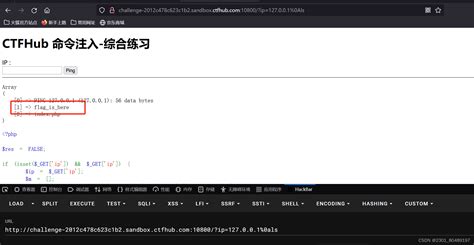 ctfhub—rce 通关笔记 ctfhub rec csdn博客