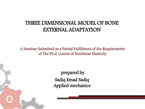 Three Dimensional Model Of Bone External Adaptation Ppt