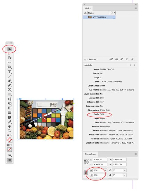 Solved Scaling Numerically Placed Content Adobe Support Community