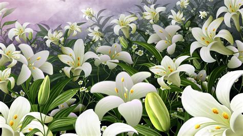 [100 ] White Lily Wallpapers
