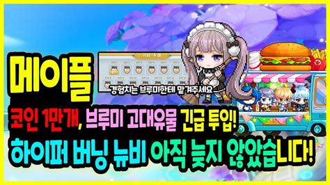 메이플 추가 코인 💰 1만개 추가투입 지금시작해도 늦지 않나요 버닝 뉴비들을 위한 🧙‍♂️ 1월 16일부터 진행되는 🥇이벤트와 챌섭 리프 총정리하기🚀 Youtube