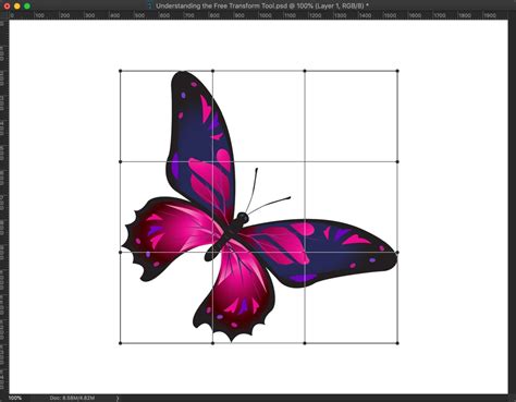 Free Transform Tool In Photoshop The Ultimate Guide Trickyphotoshop