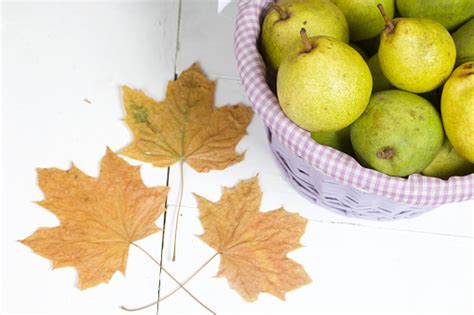 고리버들 바구니에 새 수확의 잘 익은 배 인근에는 말린 단풍나무 잎이 있습니다 0명에 대한 스톡 사진 및 기타 이미지 0명 가을 갈색 Istock