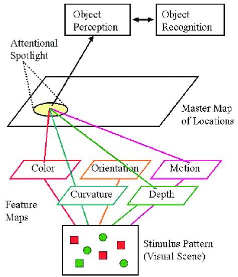 Example Of Feature Integration Theory 39 Download Scientific Diagram