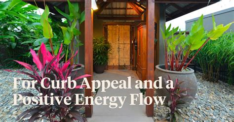 5 Best Front Door Tropical Plants For Entryways