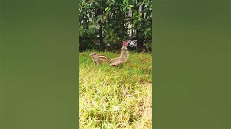 Cuteness 😍😍😍 Youtube