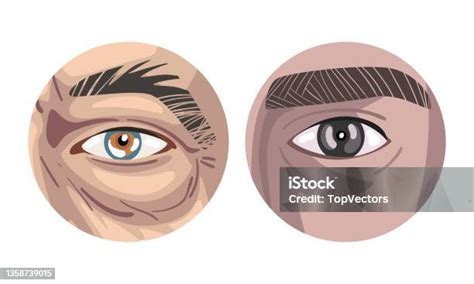 눈썹 곡선과 피부 원 뷰 벡터 세트와 다양한 색상의 인간의 눈 감각 지각에 대한 스톡 벡터 아트 및 기타 이미지 감각 지각 개념 곡선 Istock