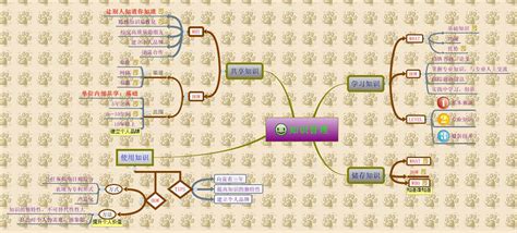 知识管理 Xmind Mind Mapping Software
