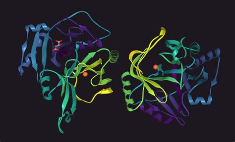 Ribbon Diagrams On Twitter 2zyq Crystal Structure Of The Hsac