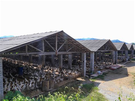 生产环境 江西煌德食品集团有限公司 煌德食品集团