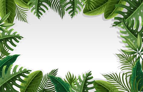 A Beautiful Leaf Frame 694758 Vector Art At Vecteezy