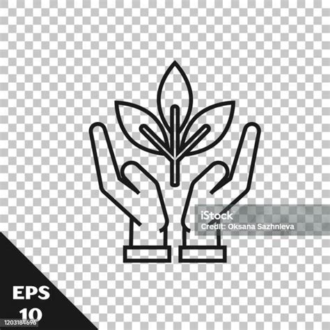 투명 한 배경에 격리 된 환경 보호 아이콘의 손에 검은 선 공장 종자 및 묘목 묘목 심기 생태 개념 벡터 일러스트레이션 개념에 대한 스톡 벡터 아트 및 기타 이미지 Istock