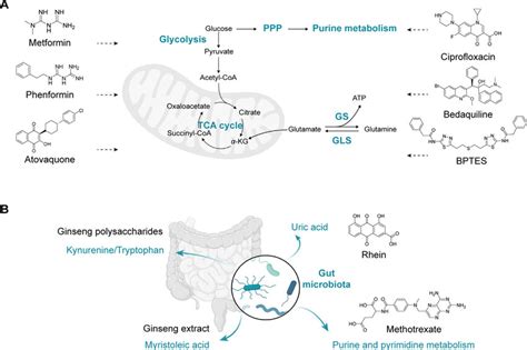 Drug Mode Of Action Uncovered By Metabolomics A Direct Regulation Of
