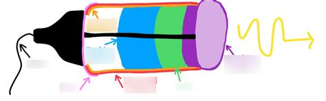 Transducer Diagram Quizlet Transducer Diagram Quizlet