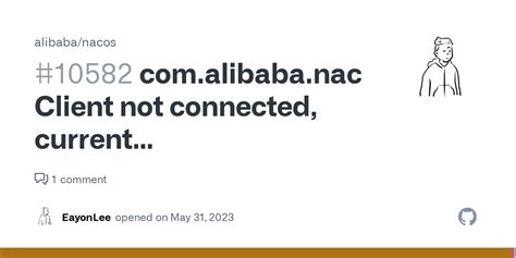 Alibaba Nacos Api Exception NacosException Client Not Connected Current Status STARTING