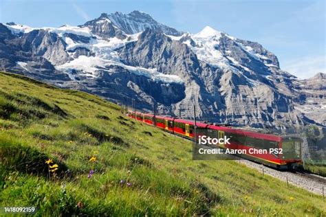 관광 열차는 융프라우요흐의 푸른 햇볕이 잘 드는 하늘 아래 푸른 잔디밭 언덕에 피는 클라인 셰이데그 야생화까지 융프라우 철 스위스에 대한 스톡 사진 및 기타 이미지 Istock