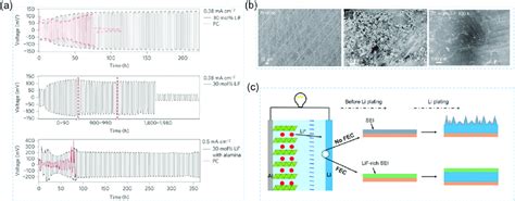 A Lithium Plating And Stripping Behavior In Symmetrical Lithium Cells Download Scientific