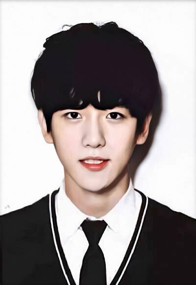 边伯贤 堆糖，美图壁纸兴趣社区