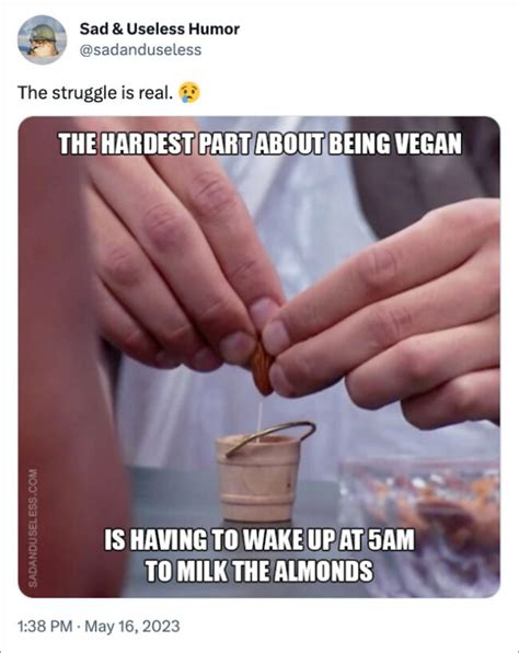 20 Vegan Memes For Folks Who Dont Just Think Theyre Better Than You