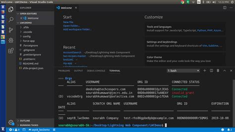 How To See Scratch Org In Salesforce Einstein Hub Salesforce Guide