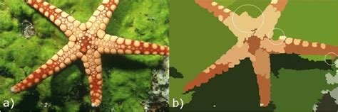 A Original Image B Segmentation Result Produced With Mumford Shah Download Scientific