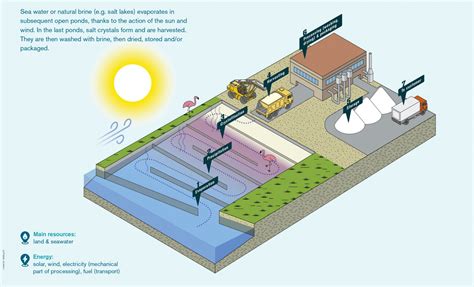 How Does Evaporation Remove Salt From The Ocean At Sarah Gooding Blog