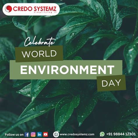 Credo Systemz On Linkedin Worldenvironmentday2024 Worldenvironmentday Environmentday