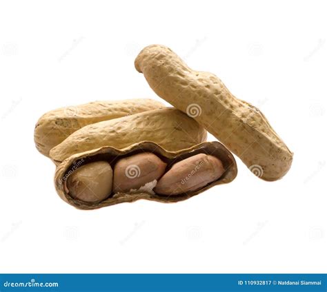 Peanut Shape