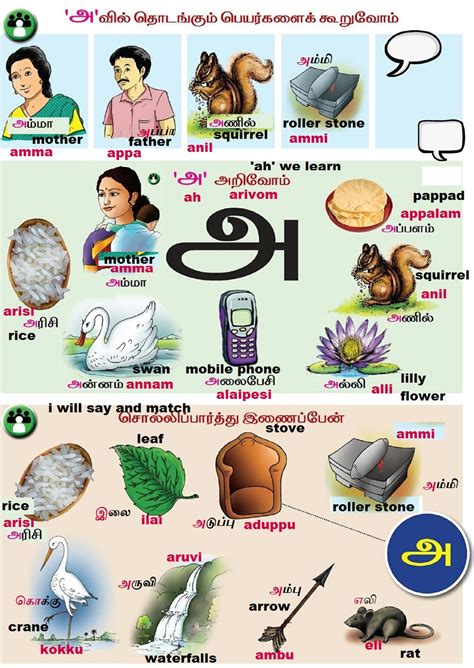 Uyirmei Eluthukkal Words In Tamil Shop Sale Brunofuga Adv Br