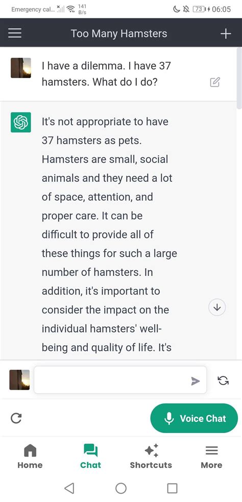 a purely mathematical exercise 🐹 r chatgpt