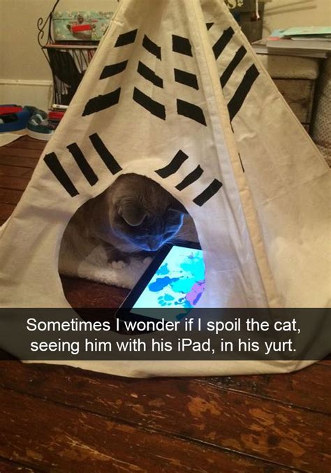 62 Hilarious Cat Snapchats That You Need To See Right Meow Bored Panda