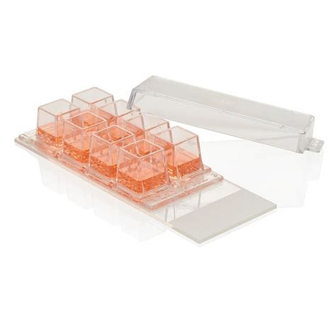 Thermo Scientific Nunc Lab Tek Chamber Slide System Glass Chamber Slide Fisher Scientific