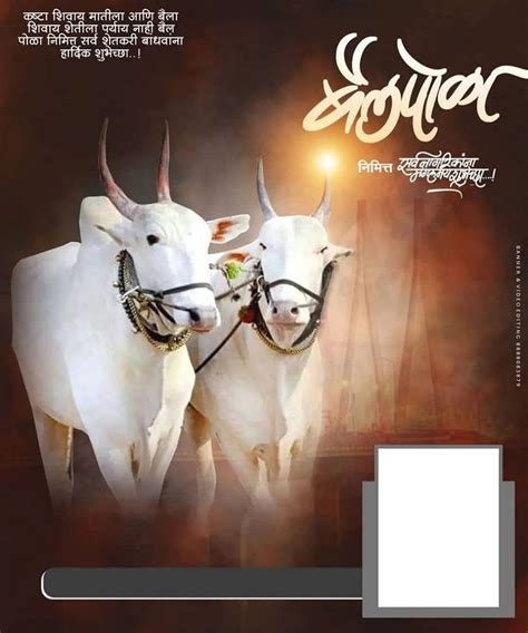 Marathi Bailgada Banner