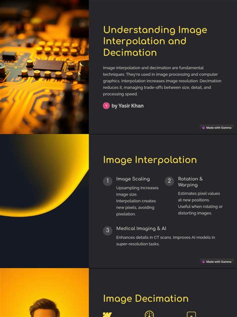 Understanding Image Interpolation And Decimation Pdf