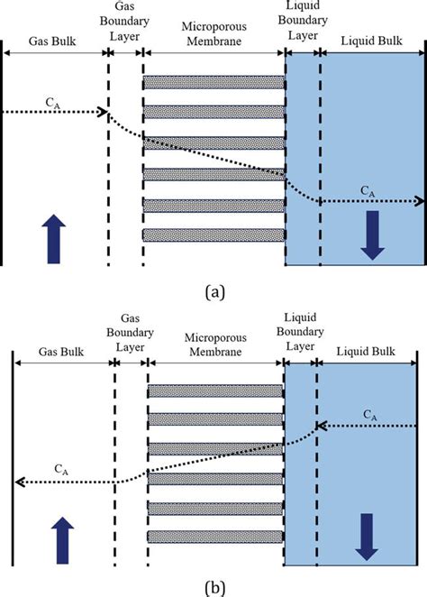Superhydrophobic Membrane For Gas Liquid Membrane Contactor Applications Intechopen