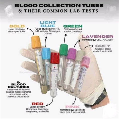 Medicina Faringitis StreptocÓcica Una Niña De 9 Años Por Lo Demás