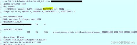 【linux】自定义nameserver linux nameserver csdn博客