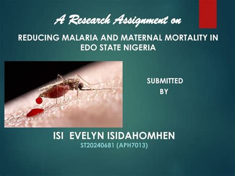 Malaria Effect In Pregnanacy In The World Health Org Ppt