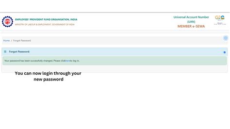 Uan Password Reset Guide What Why And How To Do It