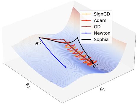 second order optimization methods shamil mamedov