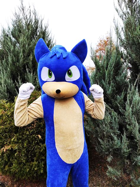 Sonic Mascot Costume Sonic The Hedgehog Party Mascot Costume Event Mascot Costume Birthday