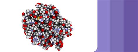 Strategies For Kras Research And Drug Discovery