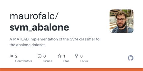 Github Maurofalcsvmabalone A Matlab Implementation Of The Svm