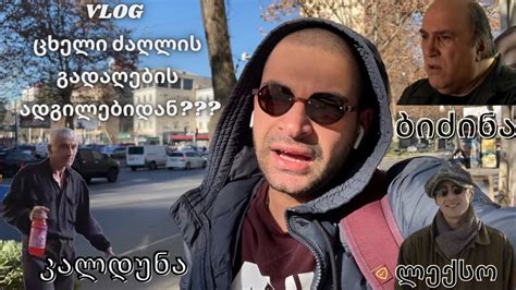 ვლოგი ცხელი ძაღლის გადაღების ადგილებიდან სკეტჩები კალდუნა ბიძინა ლექსო Youtube