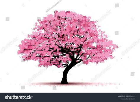 Cherry Blossom Tree Isolated On White Stock Vector Royalty Free 2283350531 Shutterstock
