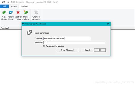 Windows配置kerberos客户端 Cm6 2开启了kerberos 然后访问hdfs Web页面报错 Permission Denie