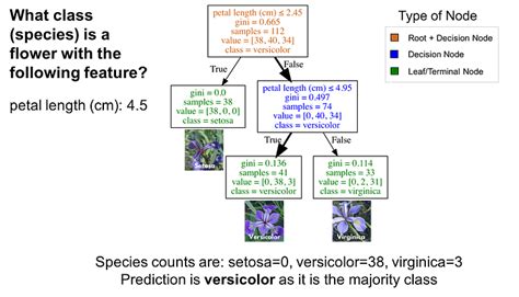 Visualiser Les Arbres De Décision Avec Python Scikit Learn Graphviz Matplotlib