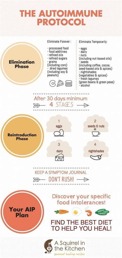 Reintroducing Foods On The Paleo Autoimmune Protocol Aip Artofit